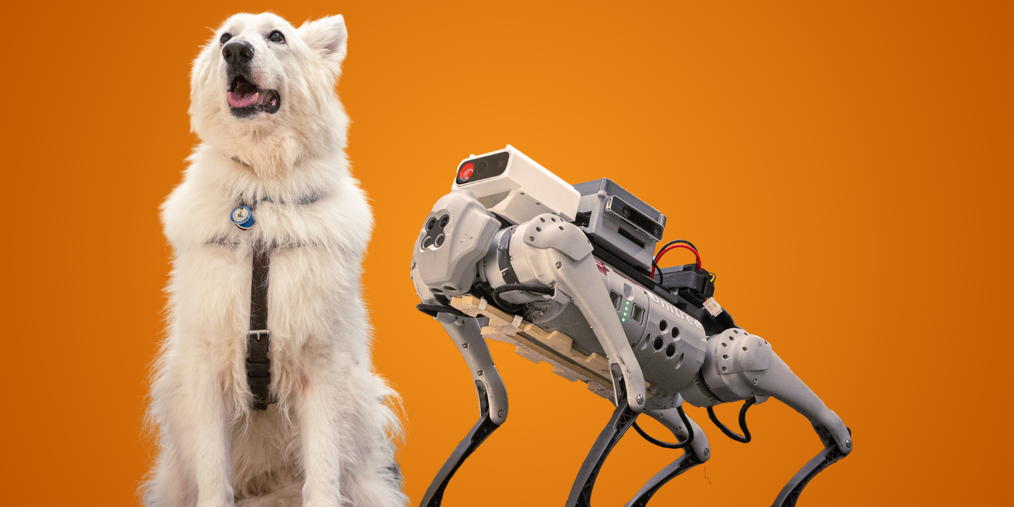 Department of Computer Science