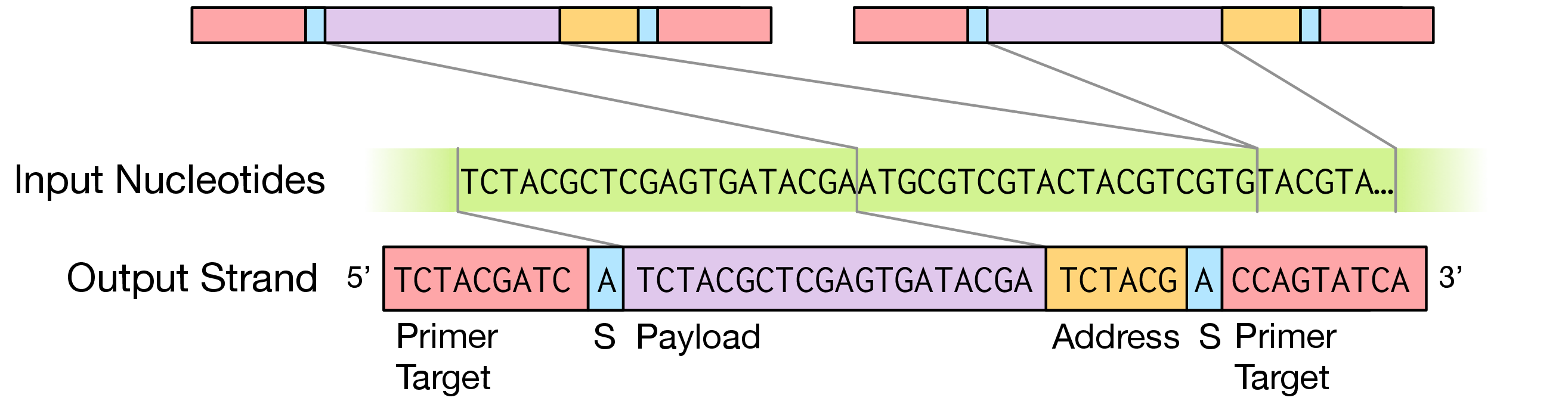 A Dna Based Archival Storage System
