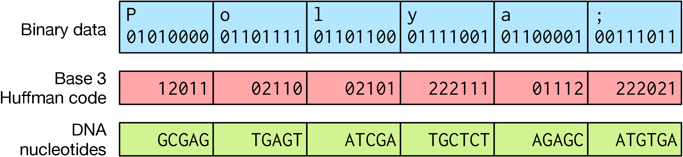 A DNA-Based Archival Storage System