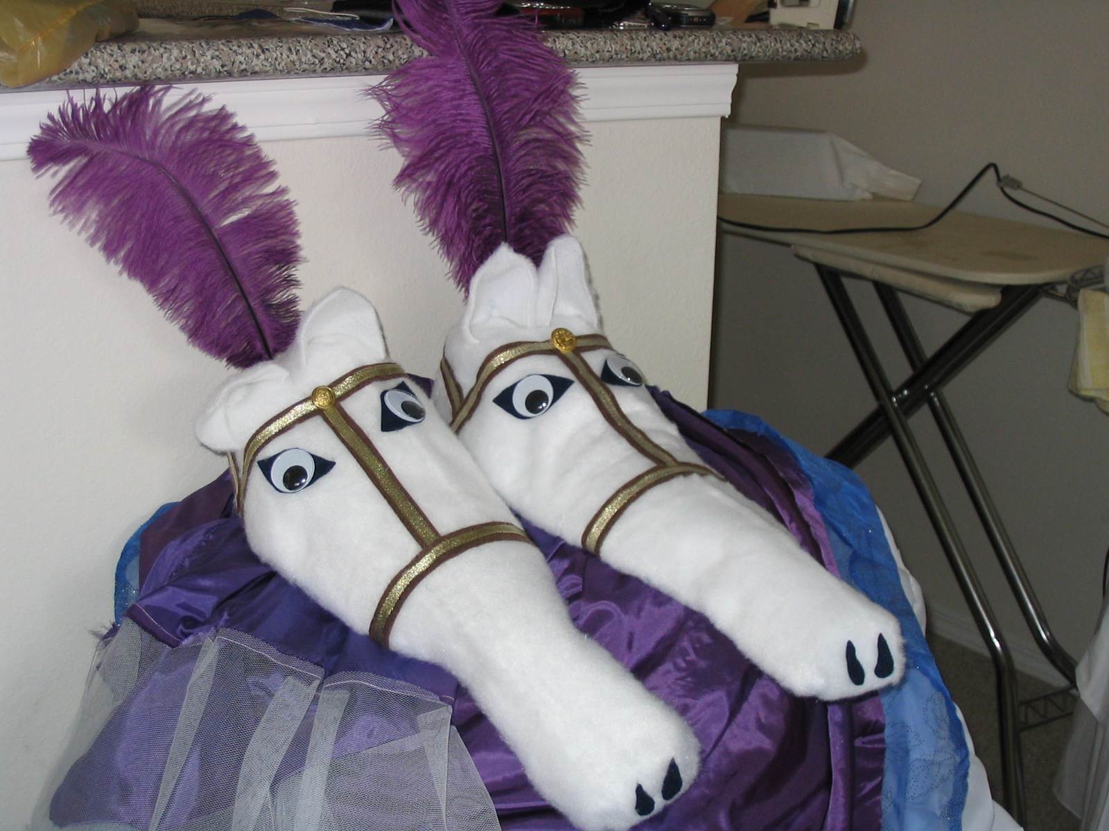 at the University of Texas, 2004